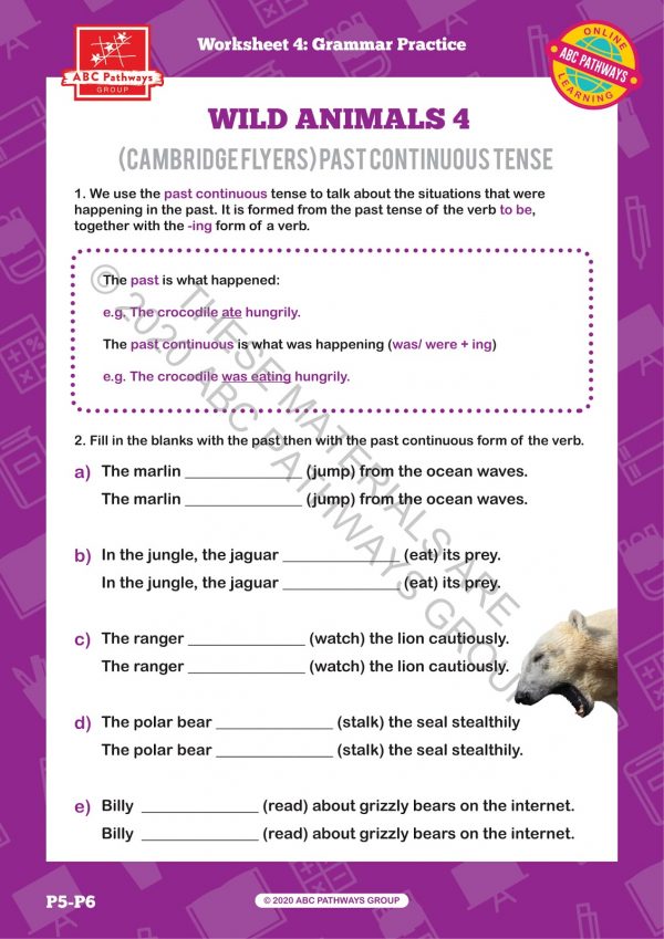 Day Day 自學套裝： 《錄影教學 + Premium Worksheets +答題貼士》： Movers (P2-P4) – ABC Pathways School